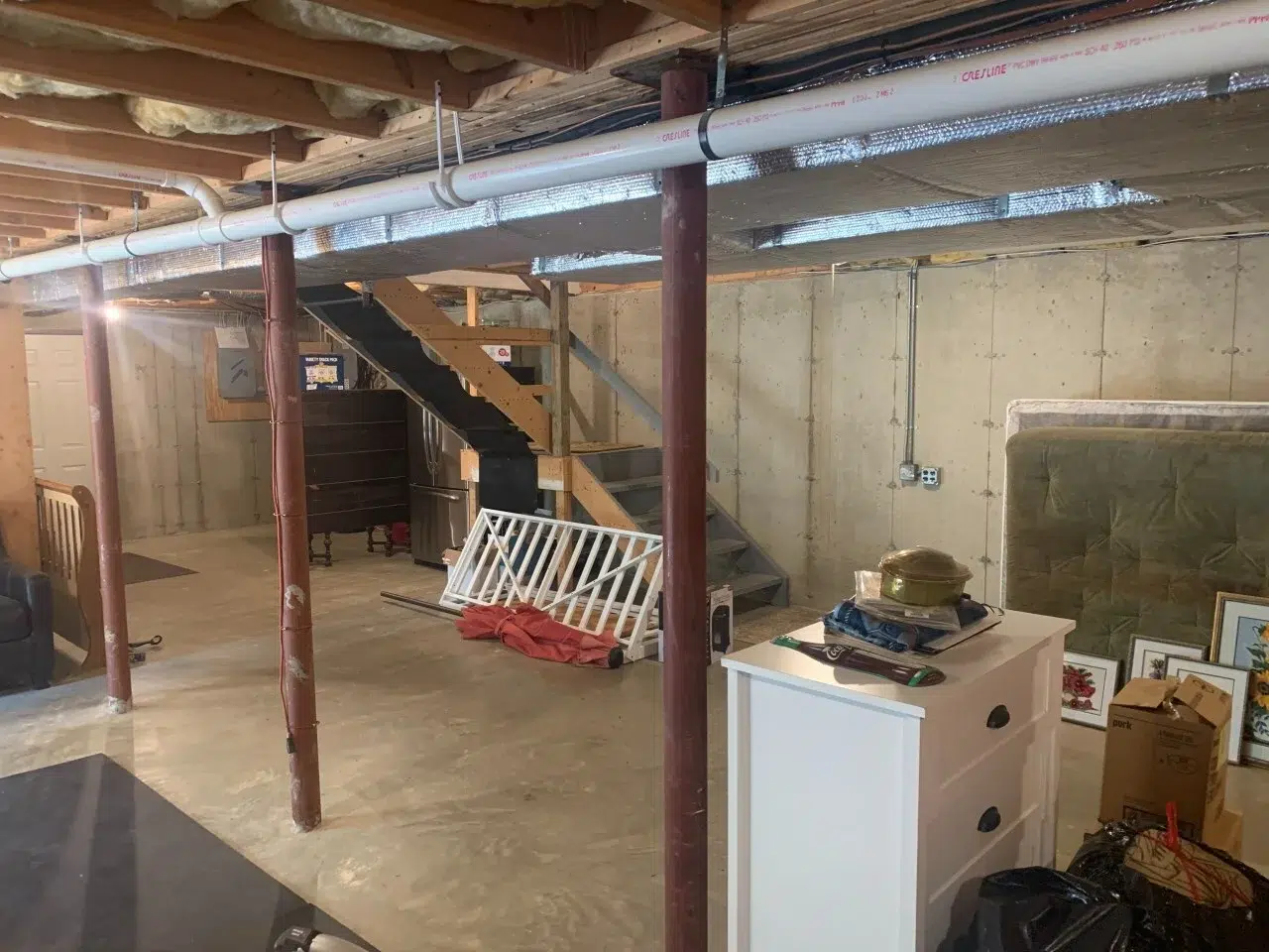 Barkit Kennel Basement