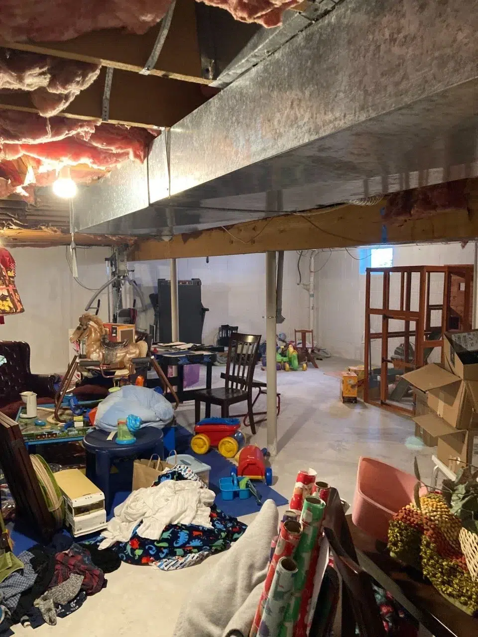 Susan Drive Basement