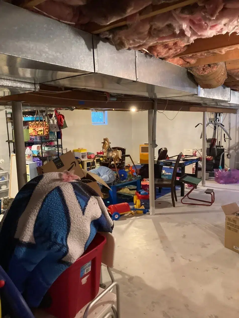 Susan Drive Basement - DBS Remodel