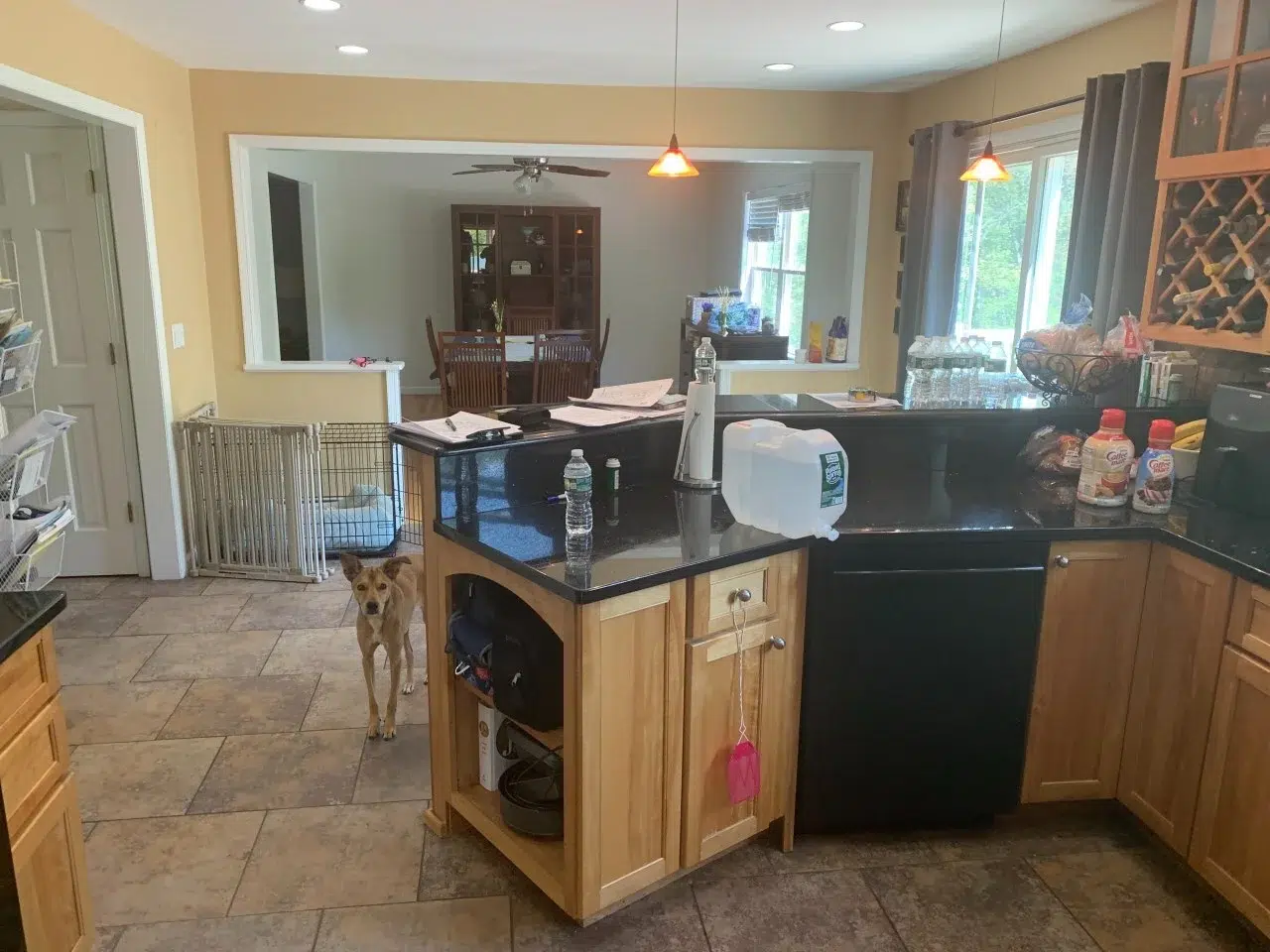Willow Kitchen - DBS Remodel